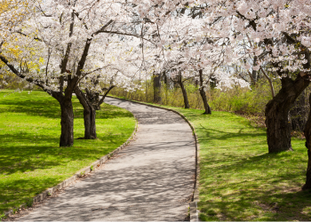 Course Schedules | Danville Area Community College